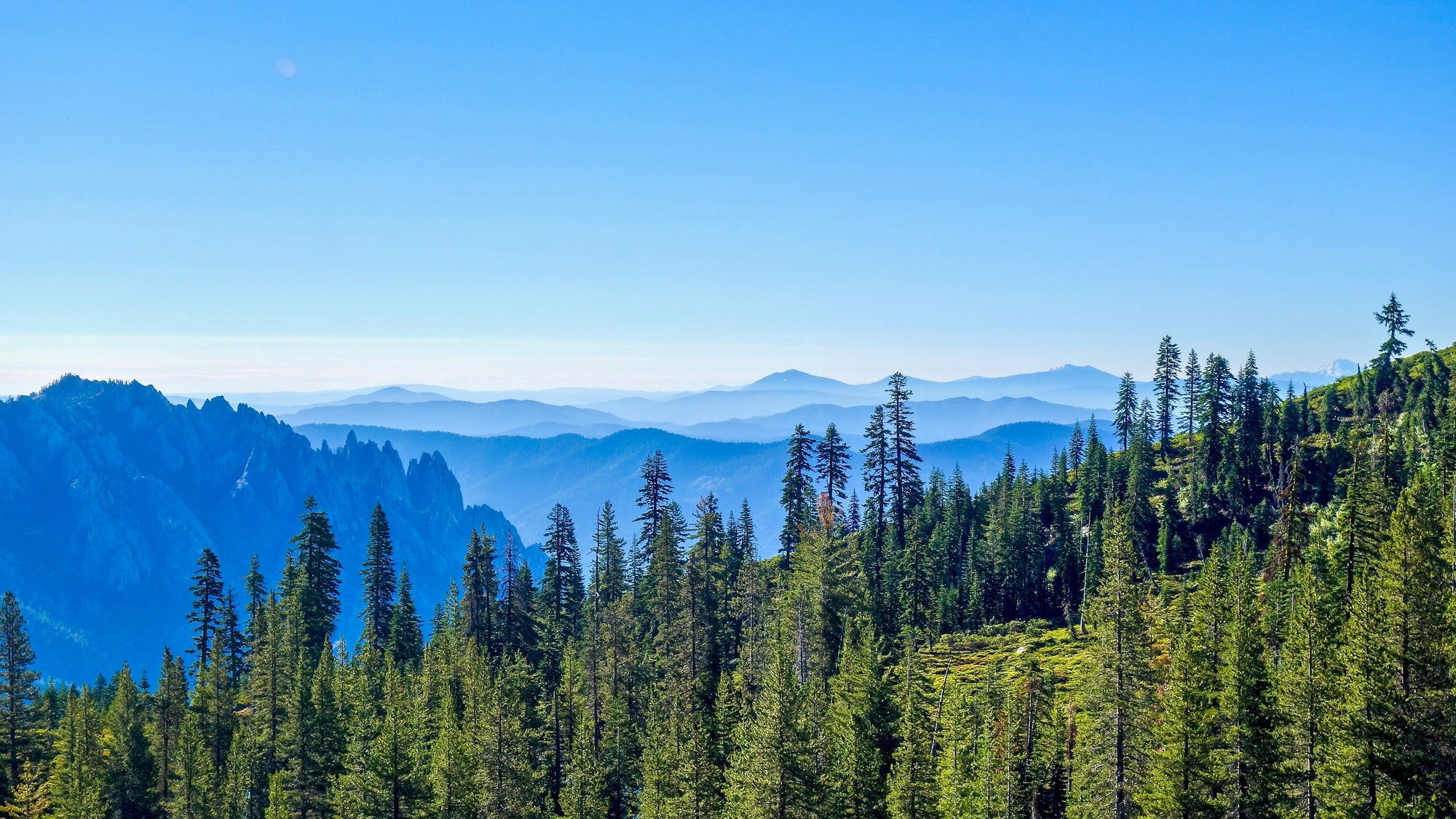 Ursack Bear Bags | Bear-Resistant Bags for Backpacking